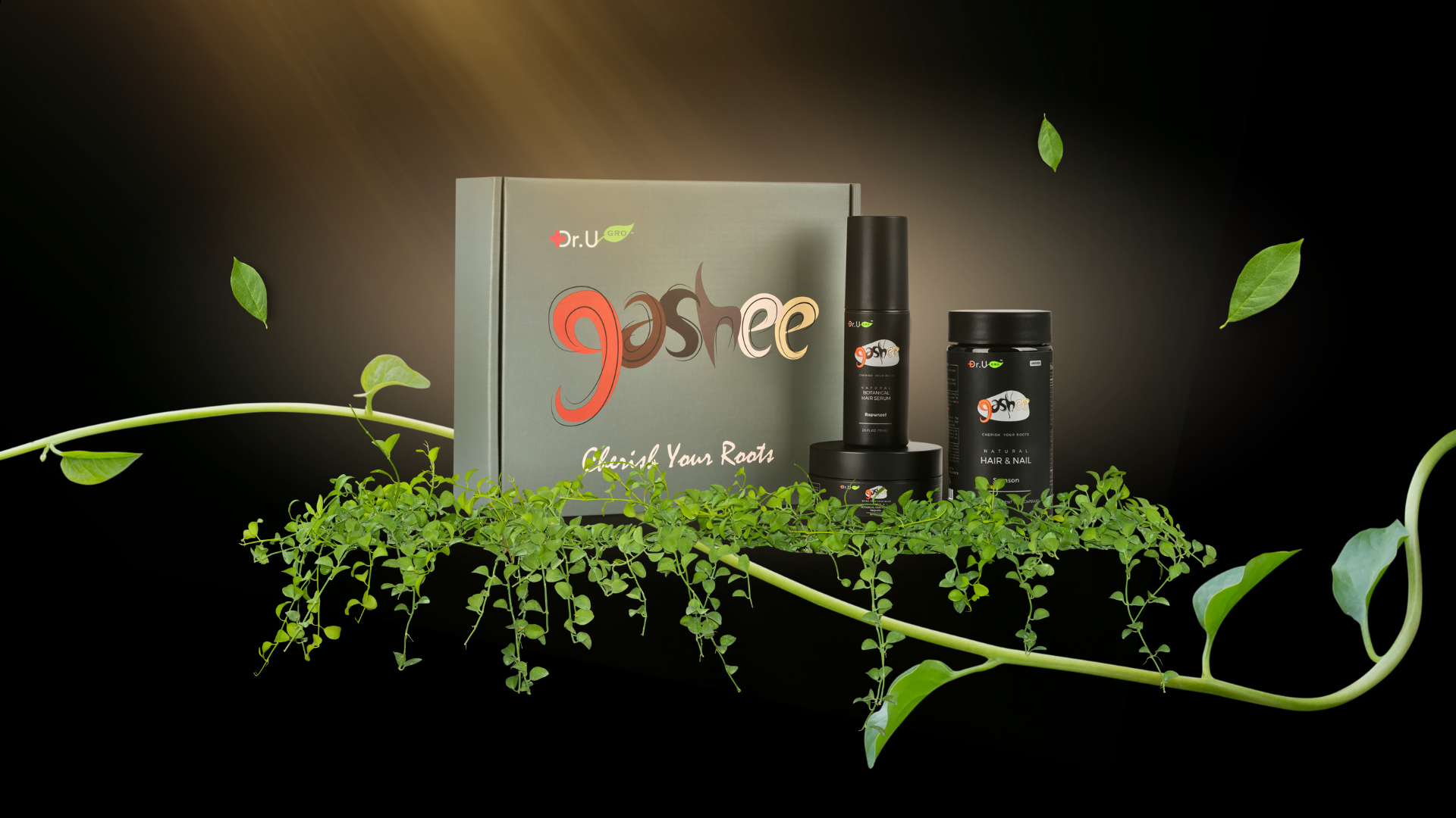 Gashee Products